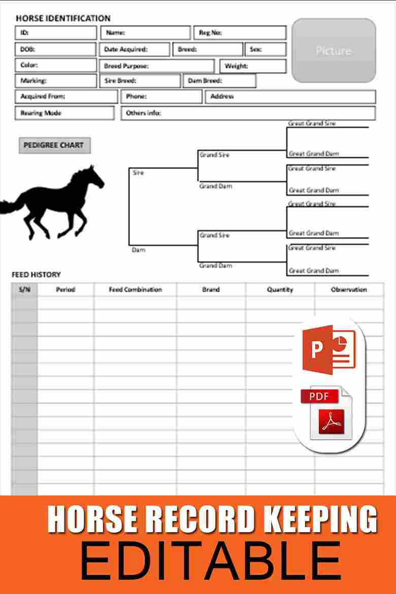 Horse Care Record Sheets at Hayden Seton blog